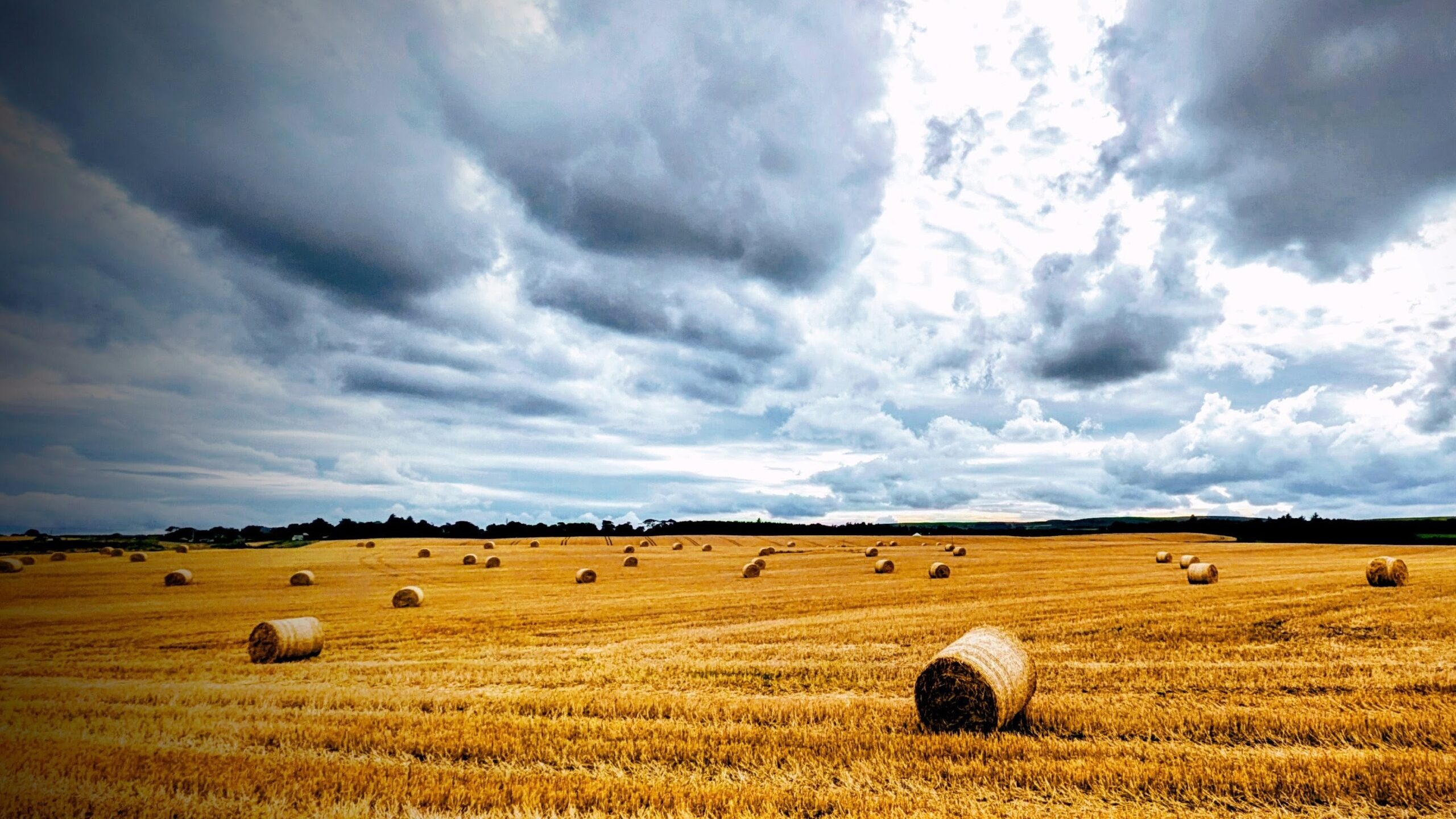 Celebrating Harvest Together - Portstewart Presbyterian Church
